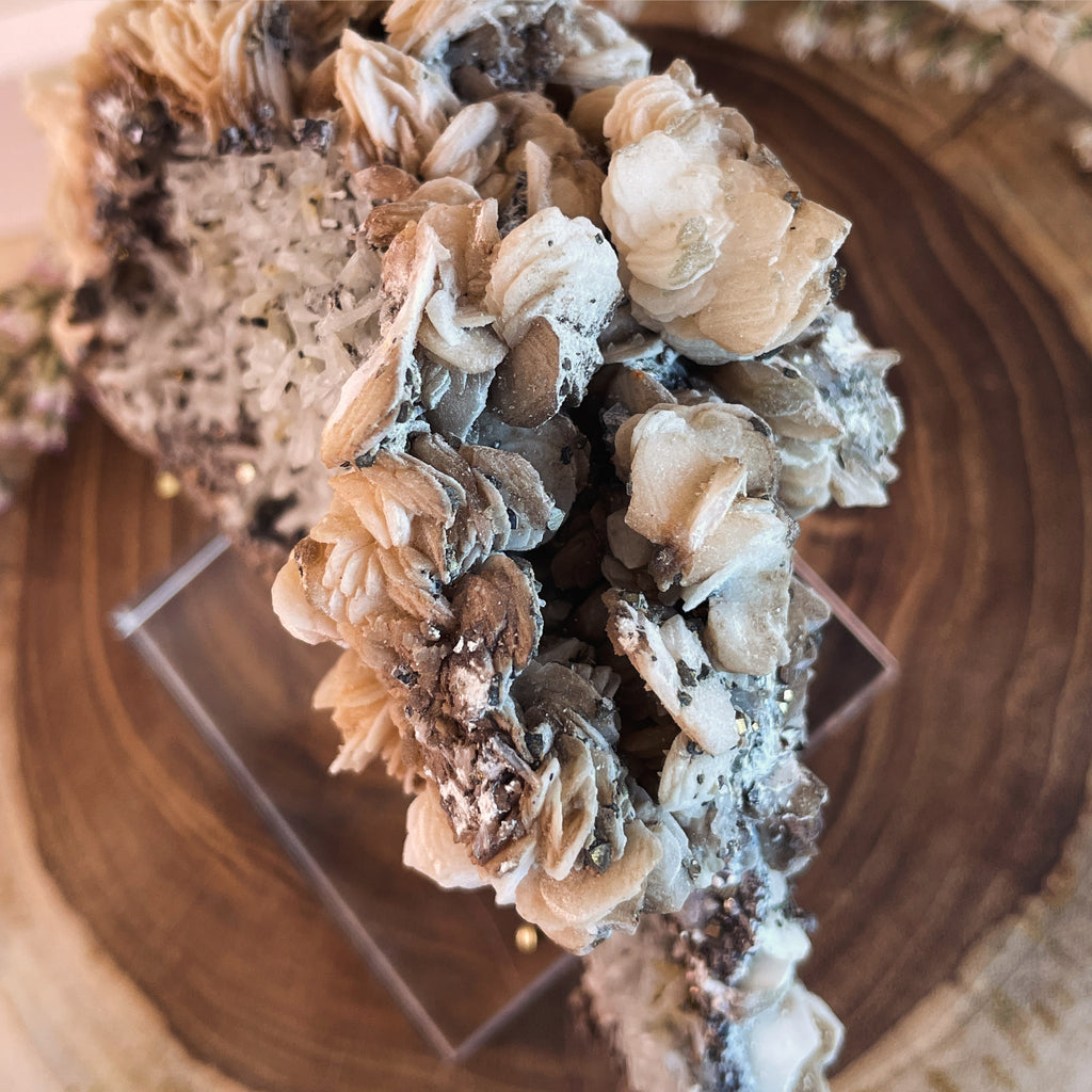 Green Prasem Quartz, Chalcopyrite, (Large Specimen) – Cedar Creek Farmhouse