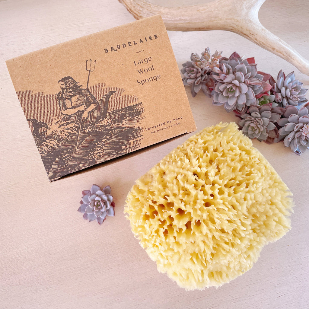 Wool Sponge, Large – Cedar Creek Farmhouse